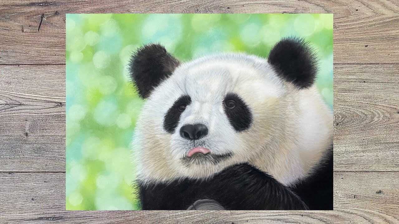 Drawing Realistic Fur Tips | How To Draw A Panda With Pastel Pencils ...