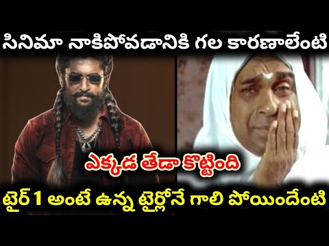 సినిమా పీకడానికి కారణాలు ఏంటి | paradise flop reasons | idiot but clever 