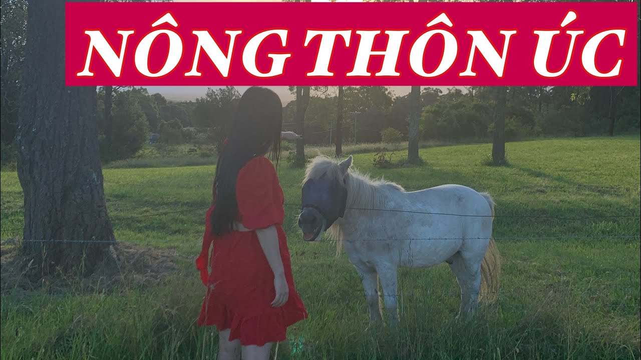 FARM ÚC CẦN NGƯỜI |NÔNG THÔN ÚC |CUỘC SỐNG ÚC - YouTube
