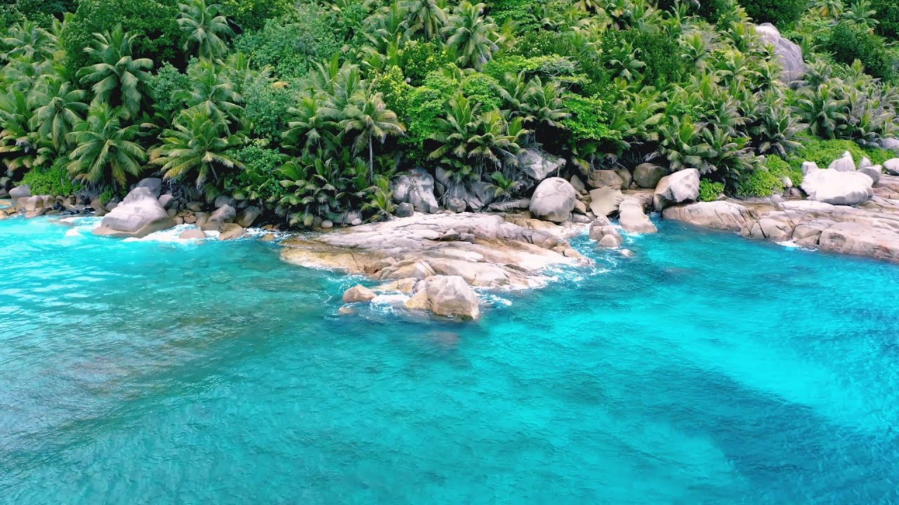 Inspired By Nature | Journey To The Amazing World | Nature Documentary ...