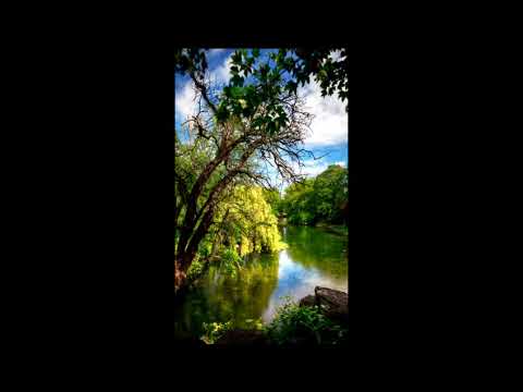Şükür-nasheed