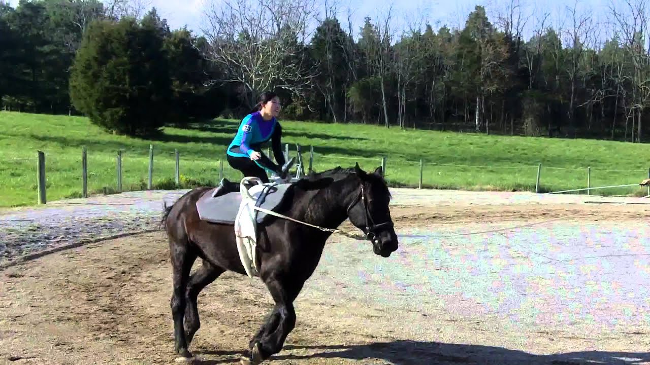 Sarah Quek Bronze Freestyle - YouTube