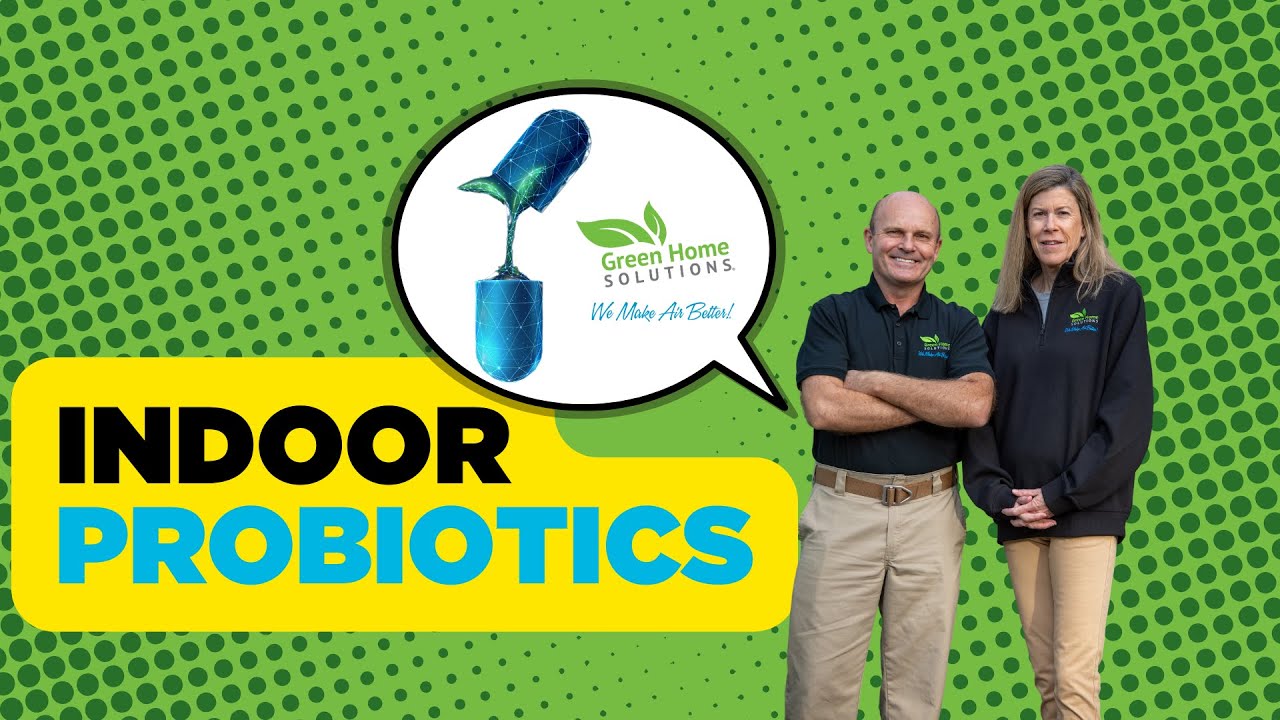 Indoor Probiotics Air Quality Treatment and Purification for Your Home ...