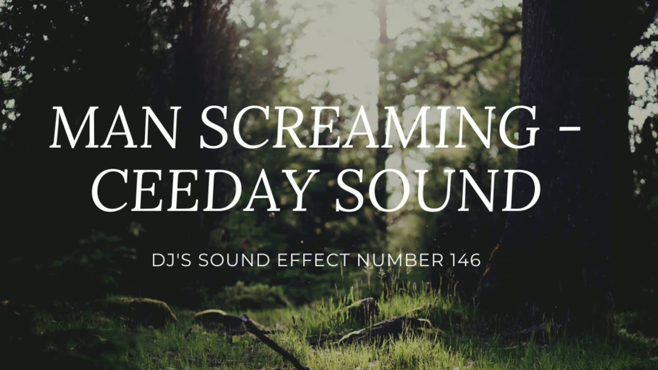 MAN SCREAMING SOUND EFFECT YOUTUBER'S/VLOGGER'S USED | NON-COPYRIGHT ...