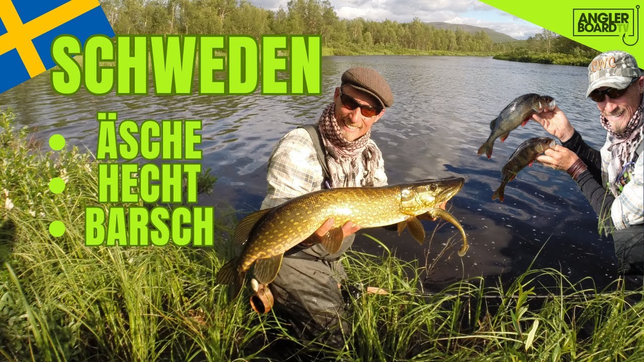 Angeln im Fluss in Schweden - auf Hecht, Barsch und Äsche - YouTube