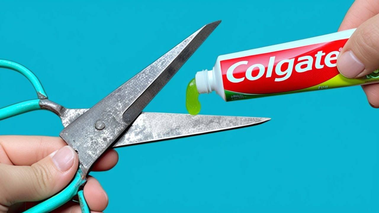 Simple Scissor Sharpening Method Every Home Wants to Know! Great ...