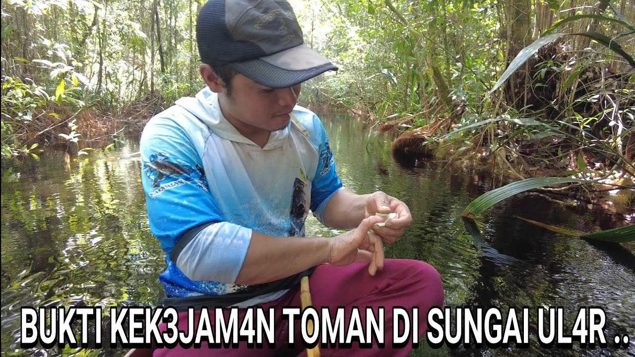 JARI MANG DIMAN DI GIGIT SAMPAI B3RD4R4H .. 😰😰 .. - YouTube