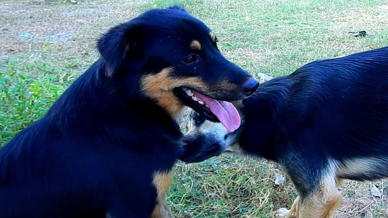 Wow very sweet time boy ker ker very happy to play play with girl ...