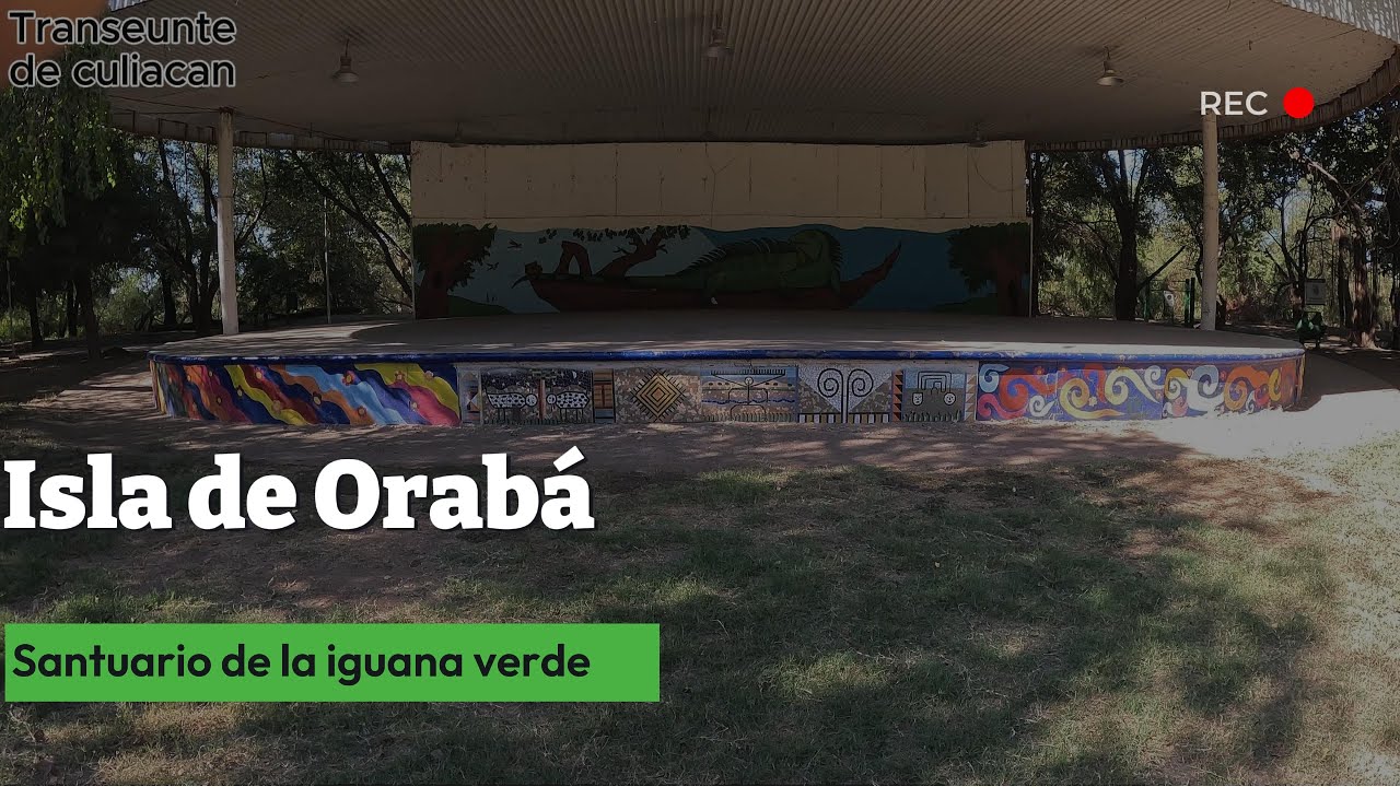 Isla de Orabá (Santuario de la iguana verde) Culiacán | Sinaloa - YouTube