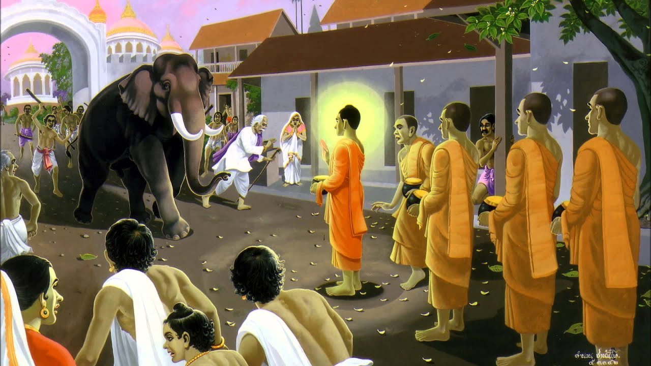 Naalaagiri Elephent ( නාලාගිරි ඇත් රාජයා. ) - YouTube