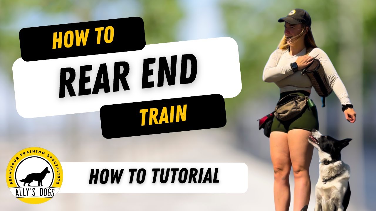 How-To Train Rear End Awareness | Ally's Dogs - YouTube