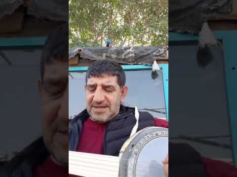 EKREM GÜLGÜN CÜMBÜŞ