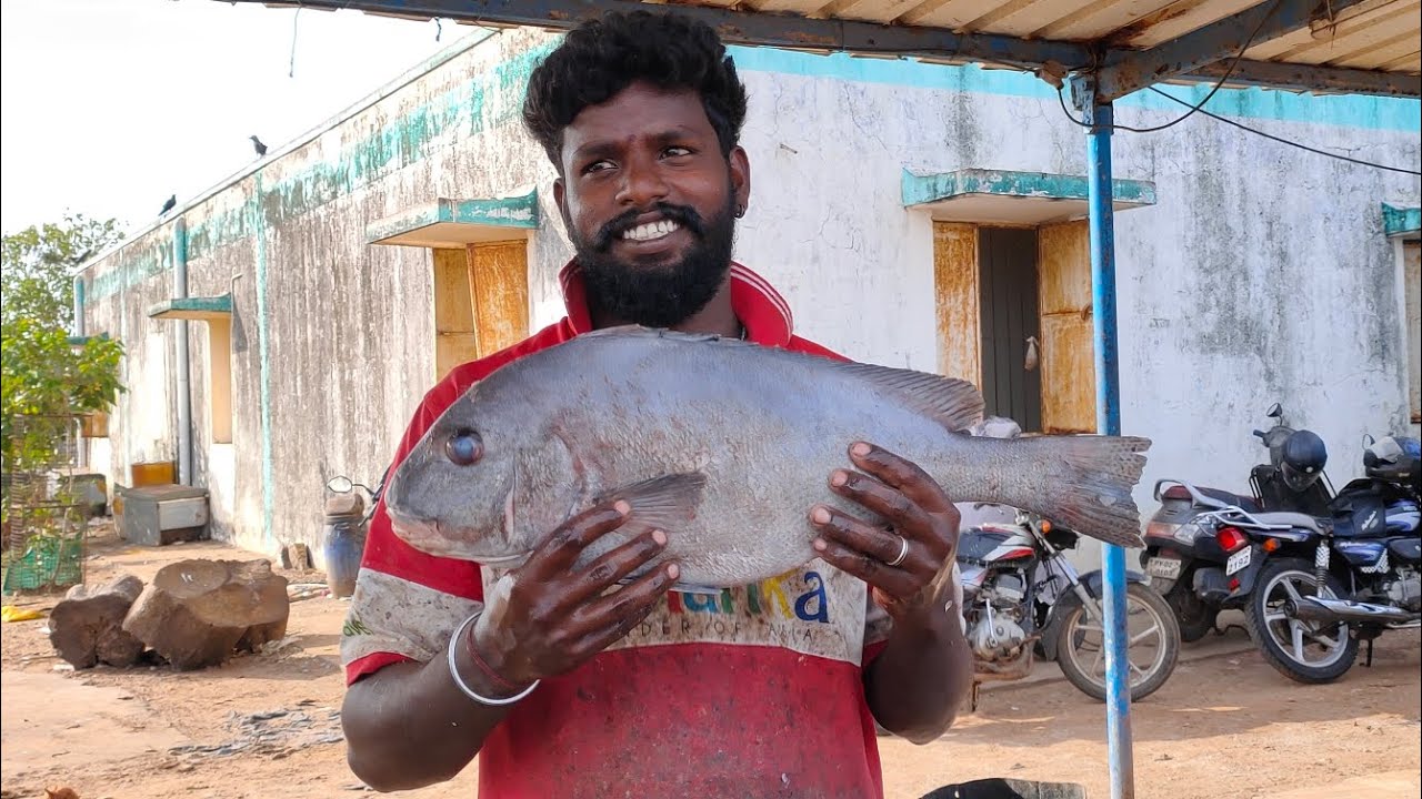 தோழன் மீன் வெட்டுதல்//THOLAN FISH CUTTING VIDEO🐟🐟🐠🐠🐠 - YouTube