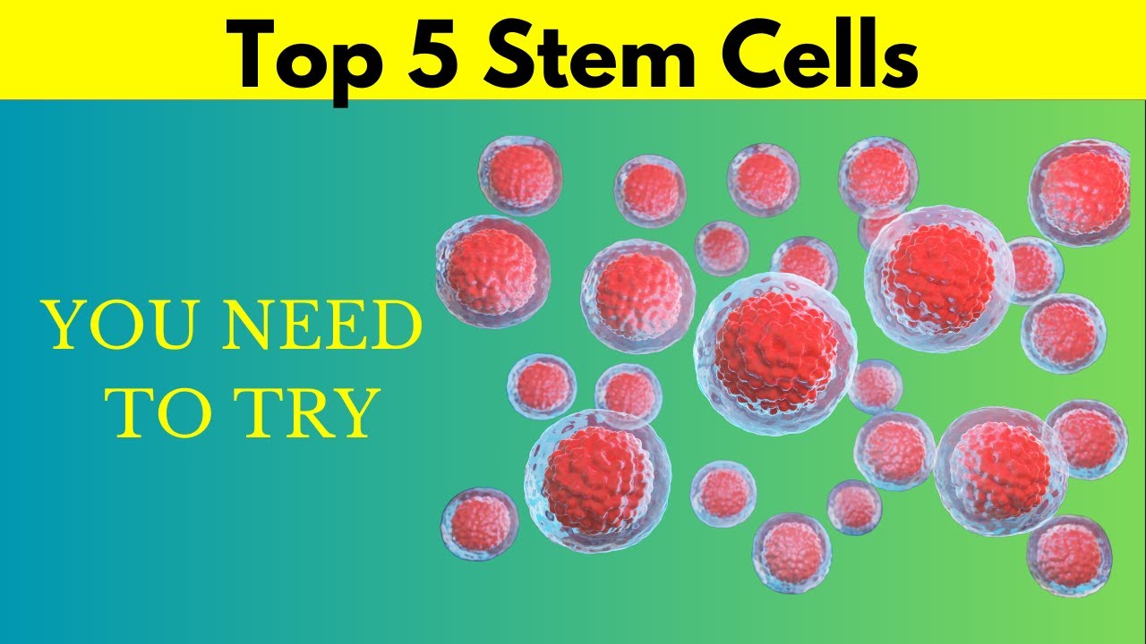 Top 5 Stem Cells-Boosting Elixir You Need To Try - YouTube