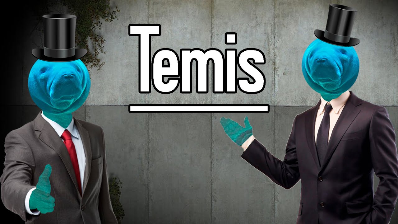 Bienvenido a Temis. - YouTube