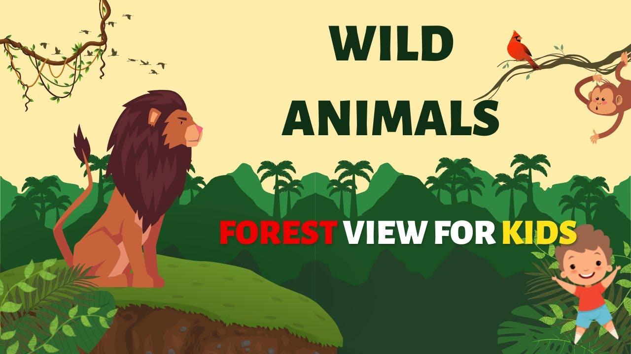 Wild Animals for Kids || Forest Tour || Basic learning for kids 2022 ...