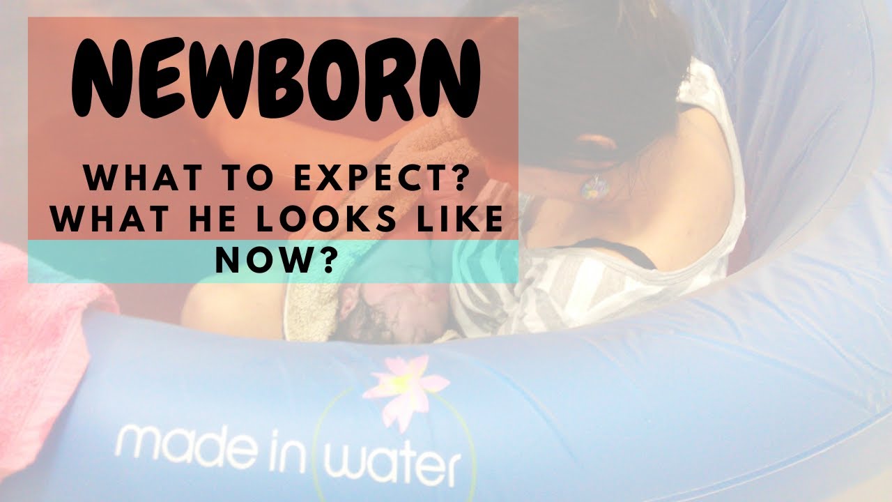 Welcoming Our Water Baby A Journey Through the First Week of Life - YouTube