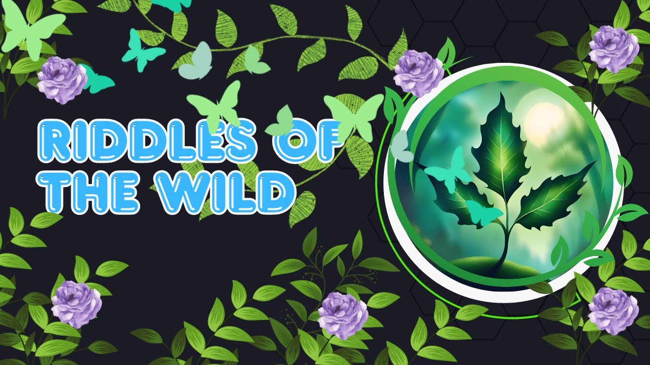 🌹"nature's Little Mysteries: Riddles Of The Wild"🌹 - YouTube