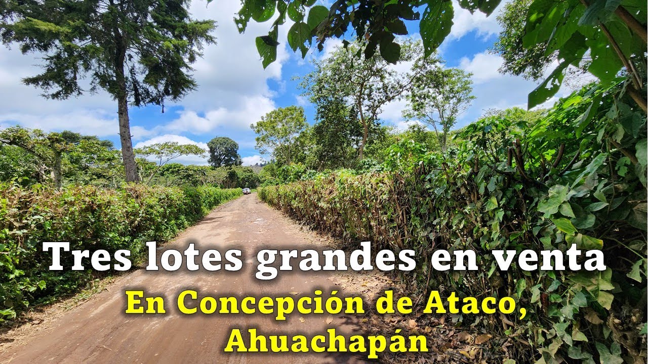 En venta!!! Tres lotes grandes cerca del mirador de la cruz, en Ataco ...