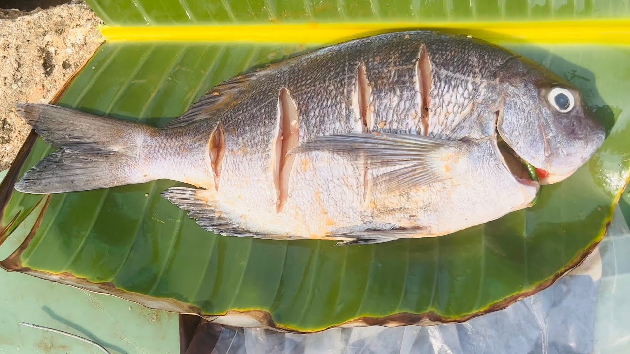 Copper Bream On the Braai. Fishing. - YouTube