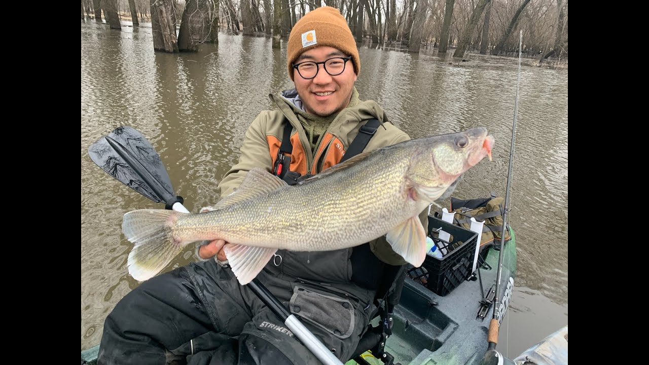 DJ w/ 26" Walleye on Cedar River - YouTube