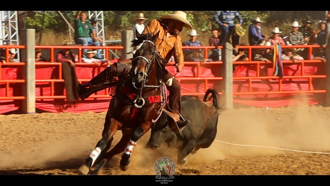 Jaripeo En La Cruz de Caminos de Chiquimitio Aniversario de Ganadería ...