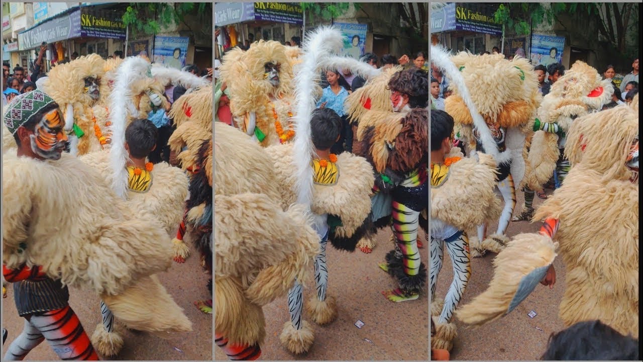 Sher Nacha Tiger Dance Rajnandgaon | Sher Baja Tiger Dance 2024 ...