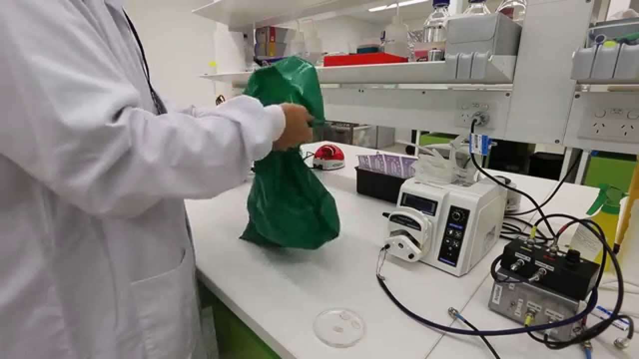 Disposal of used Tissue - YouTube