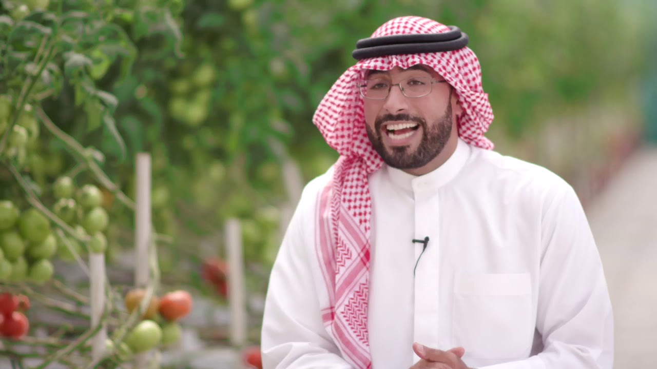About Peninsula Farms | Turning the desert of Bahrain to an Oasis - YouTube