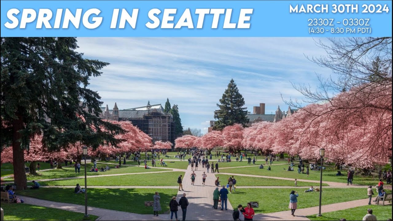 Spring in Seattle: B&D High Areas - YouTube