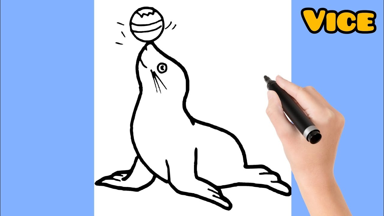 COME DISEGNARE UNA FOCA - YouTube