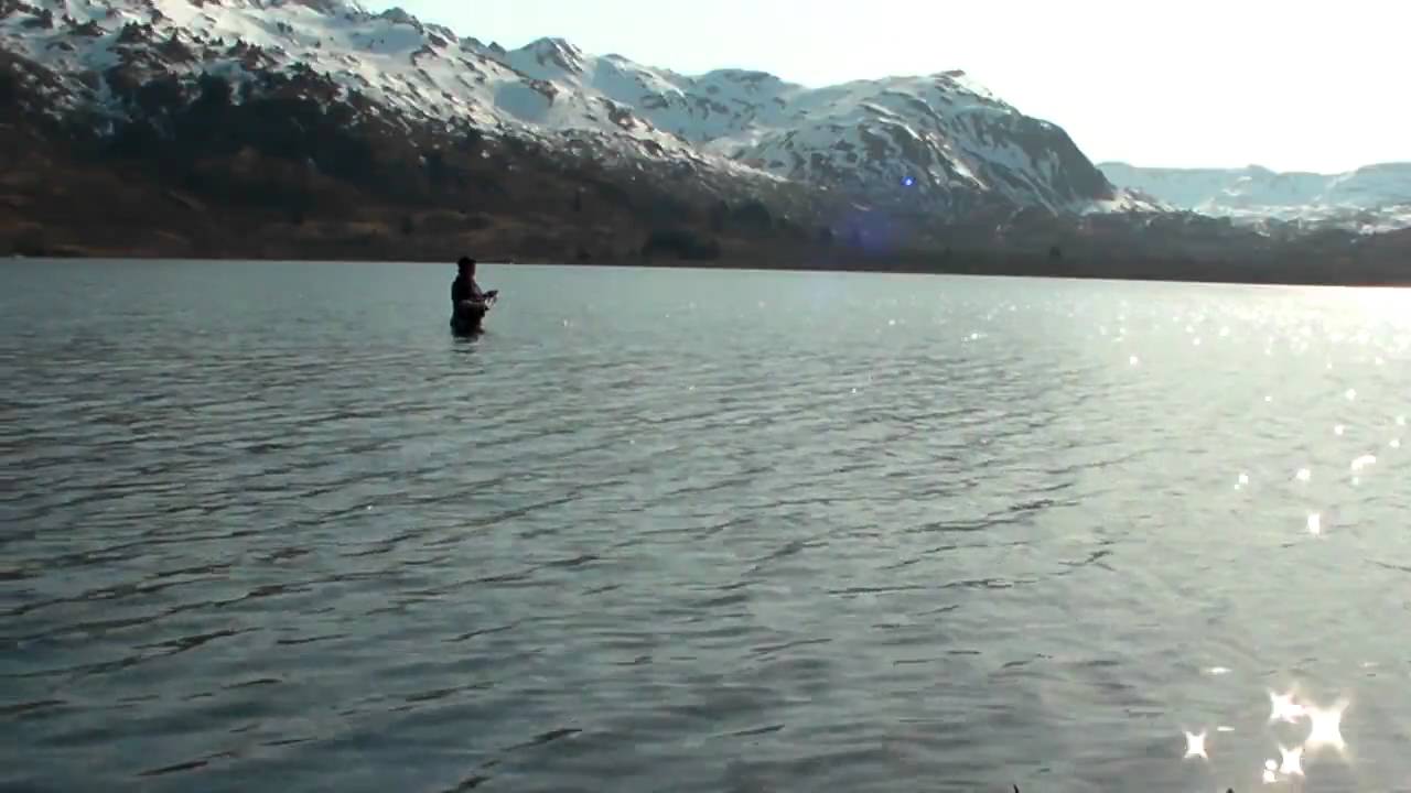 Dolly_Varden_At_Buskin_Lake_Kodiak - YouTube