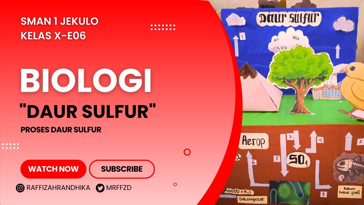 SIKLUS DAUR SULFUR | BIOLOGI KELAS 10 - YouTube