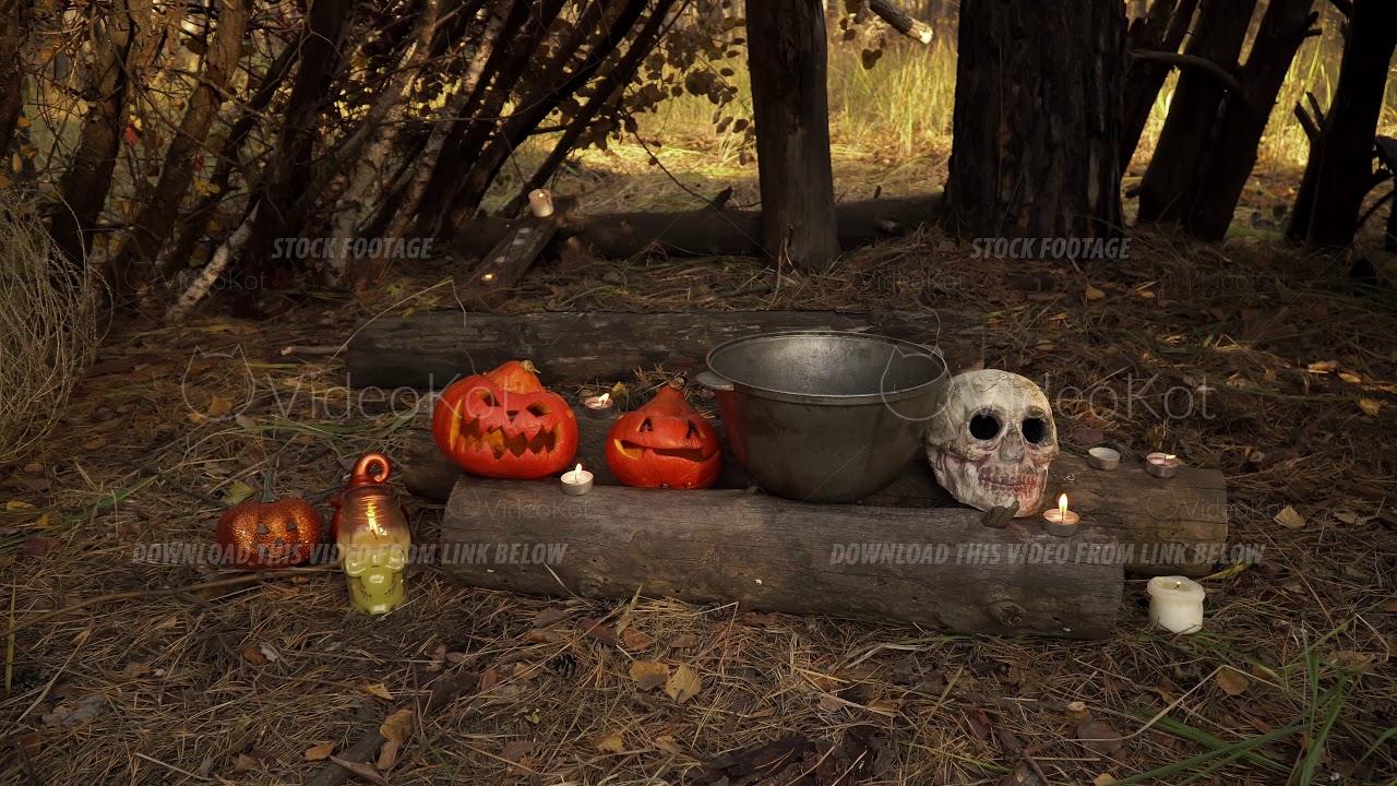 Ritual esoteric place in the forest with candles a skull and a cauldron ...
