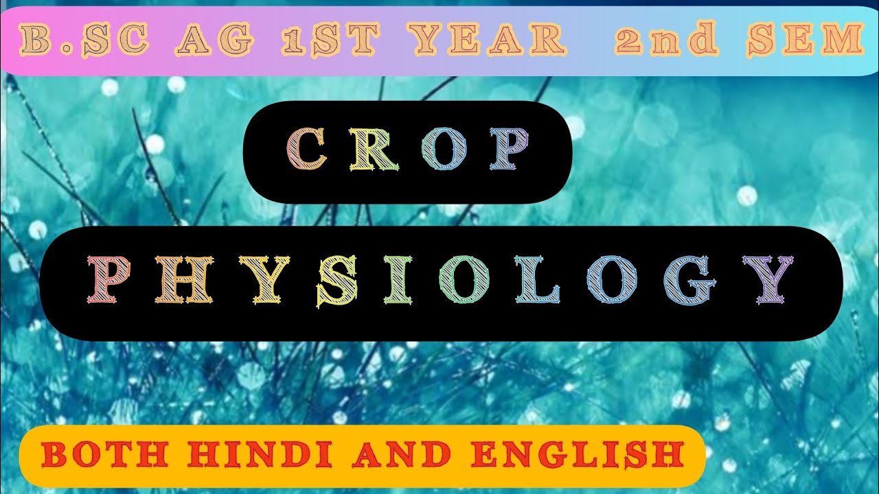 What Is Crop Physiology Introduction Of Crop Physiology B SC AG what-is-crop-physiology-introduction-of-crop-physiology-b-sc-ag
