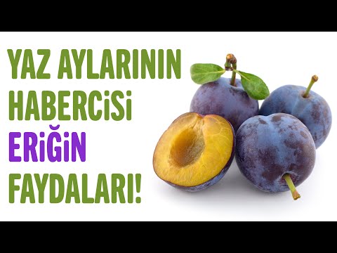 ERİĞİN 6 MÜKEMMEL FAYDASI! | Faydalı Şeyler | Sağlıklı Yaşam Sırları