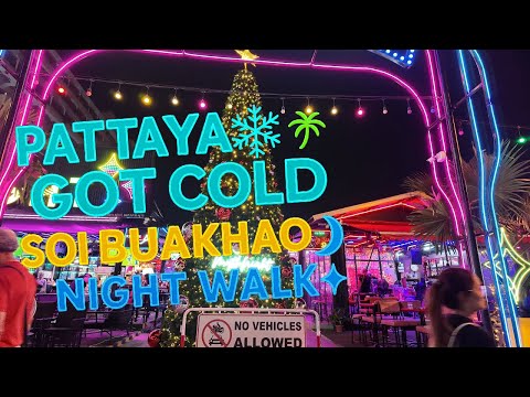 Pattaya Got COLD ❄️🌴 Soi Buakhao Night Walk 🌙