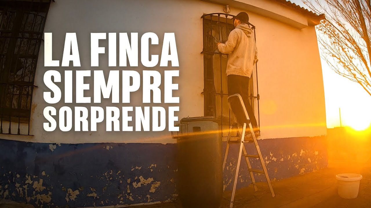 Raspando el Zócalo… Ahora Sí Empieza el Cambio | Proyecto Finca ...