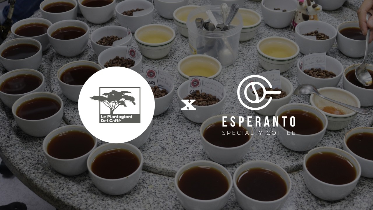 Le Piantagioni del Caffè & Esperanto Specialty Coffee - YouTube
