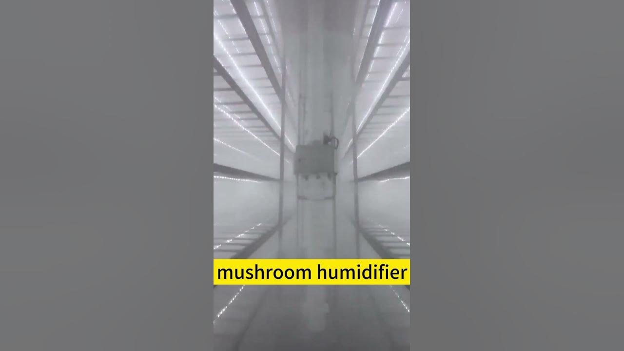 Portable mushroom growing humidifier - YouTube
