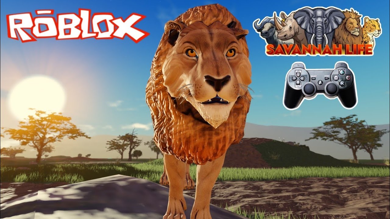 LEÃO EXILADO RETORNA PRA CASA ! SAVANNAH LIFE da ROBLOX, jogo de sobrevivência de animais ...