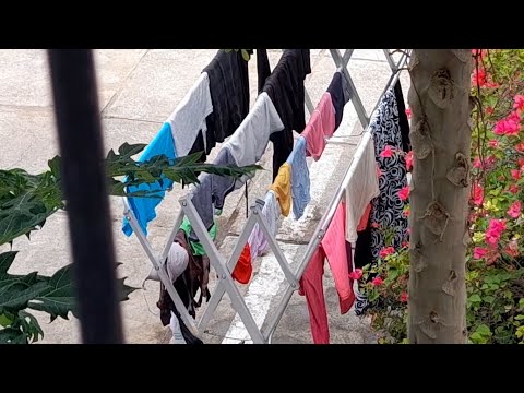 Review jemuran tante nabila (owner homestay)