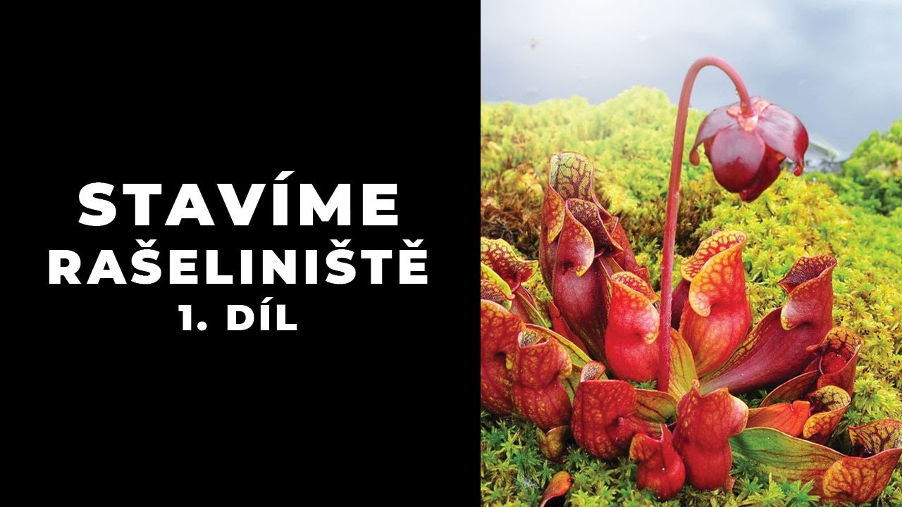 Jak si postavit zahradní rašeliniště? Díl 1 - YouTube