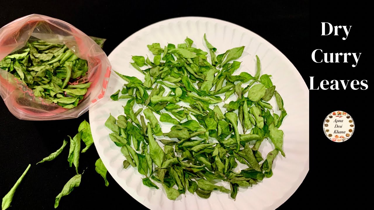 Dry curry patta | how to dry and preserve curry leaves for months by apna desi khana - YouTube