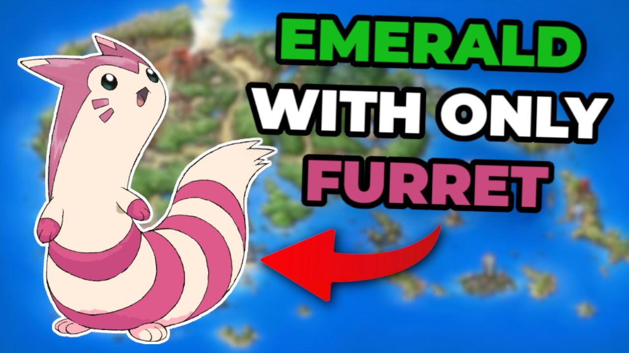 Can You Beat Pokemon Emerald with ONLY Furret? - Pokemon Solo Run - YouTube