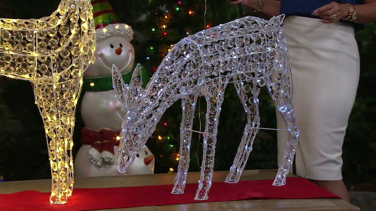 Kringle Express Lit Standing or Feeding Deer with Color Change Lights ...