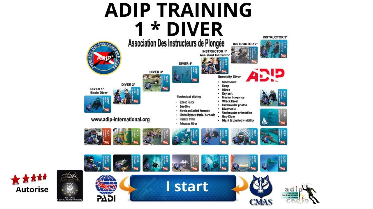 🦀ADIP diving certificates, 1 star #diver, open water practice scuba ...