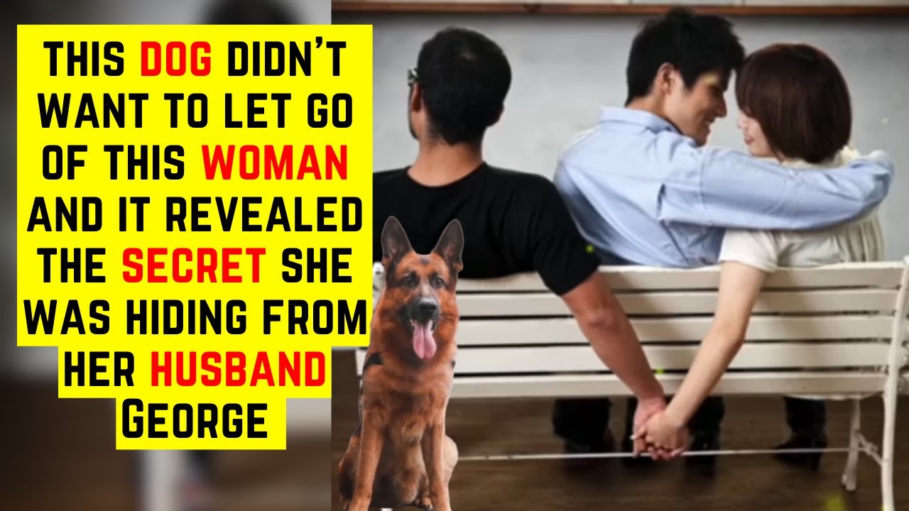 👈Full video - this dog didn't want to let go of this woman ...