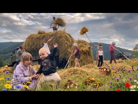 2026'da Bir Ukrayna Köyünde Yaşam: Yazın Ot Biçme ve Taze Orman Mantarı Hazırlığı 🌾🍄