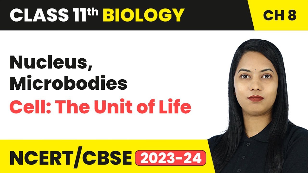 Nucleus, Microbodies - Cell: The Unit of Life | Class 11 Biology ...